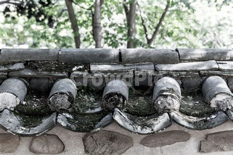 기와 담장 무늬 전통 한국의미 사진 이미지 일러스트 캘리그라피 봉구58작가