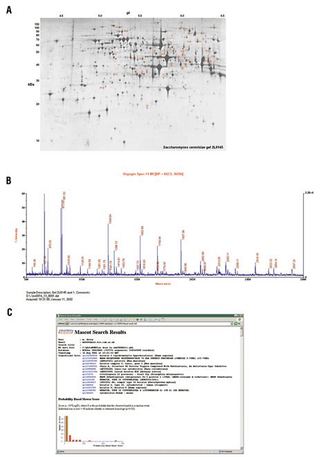 Examples Of The Types Of Data Generated By Proteomics Experiments A