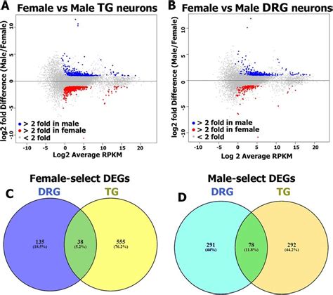 Rna Seq Of Female And Male Drg And Tg Sensory Neurons Summary Plots Of Download Scientific