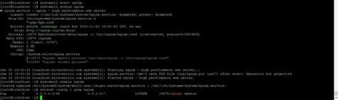 How To Install Nginx On RHEL Bitscentric