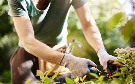 Assemblin Vs Assemblin