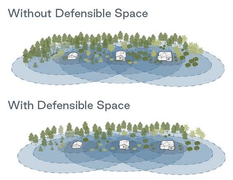 How To Create Defensible Space At Your Home By Homebound