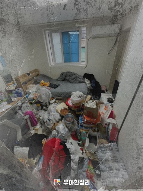 과학적인 집청소 순서와 꿀팁 우아한정리 생활꿀팁 저장소