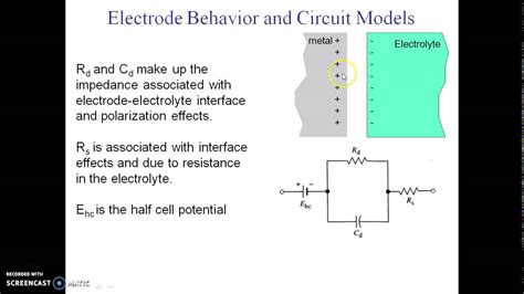 Biopotential Electrodes YouTube