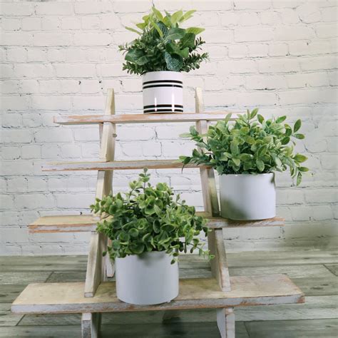Gracie Oaks Ruscus Arrangement In Pot And Reviews Wayfair