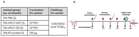 Immunogenicity And Protective Efficacy Of A Recombinant Pichinde Viral Vectored Vaccine