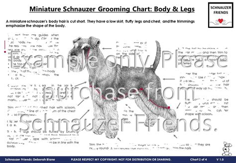 Grooming Charts Schnauzer Friends South Africa