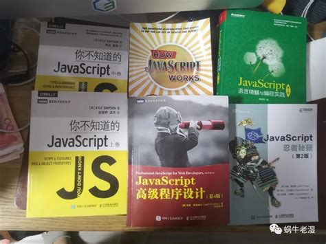 Javascript高级程序设计第四版详细测评 轻识