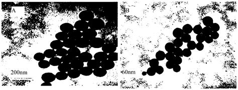 Recovery Method And Application Of Nano Selenium Eureka Patsnap