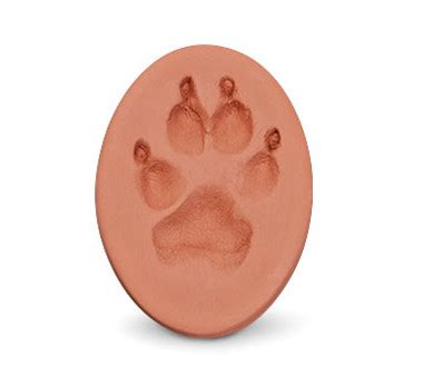 Memorial Paw Prints And Keepsakes In Good Hands