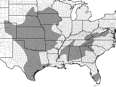 Distribution Of The Eastern Spotted Skunk 1900 1920 Download