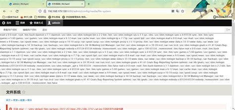 drupal 远程代码执行漏洞（cve 2019 6339） richardyg 博客园