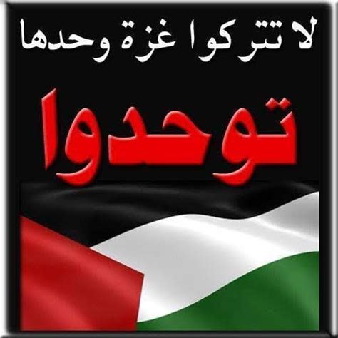 Mahmoud Mohamed Altayeb