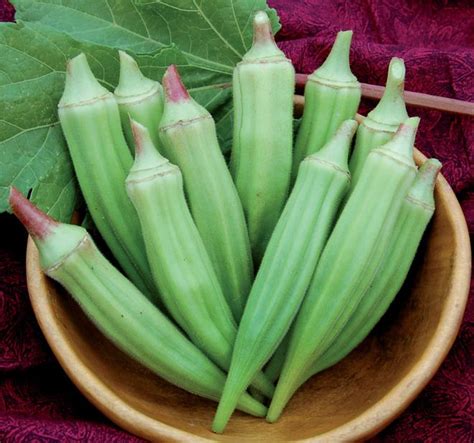 Warm Season Vegetables How To Grow Okra Okra Seeds Okra Organic Seeds