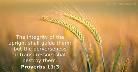 Proverbs 113 Bible Verse Kjv
