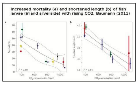 Lecture 25 Global Ecology Flashcards Quizlet