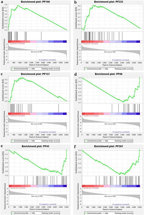 The Enrichment Plot Of The Most Significant Gene Sets In The Sample Download Scientific Diagram