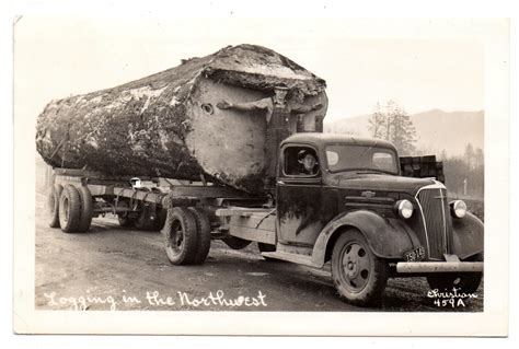 Rppc Photo Postcard Logging In The Northwest Chevy Truck Hauling Huge