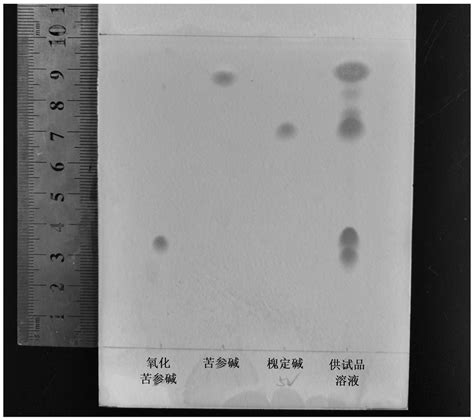 Thin Layer Chromatography Identification Method For Radix Sophorae Flavescentis And Radix