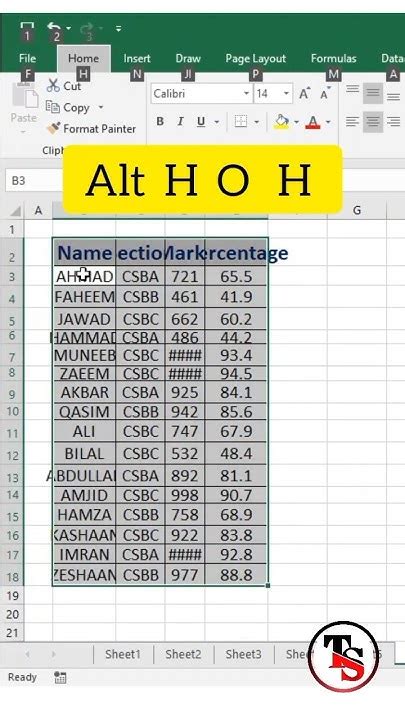 How To Autofit Rows And Columns In Excel Excel Exceltips