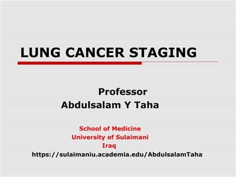 Lung Cancer Detection Using Digital Image Processing On Ct Scan Images