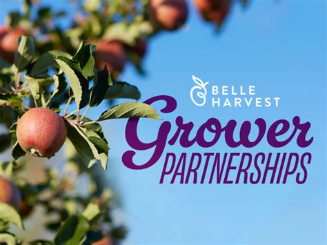 Casey Jarrard Of Belleharvest Sales Spotlights Grower Partners Andnowuknow