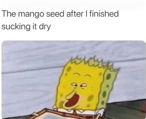 Fruit Memes 6 20250417 Thunder Dungeon The Funniest Memes Period