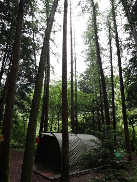 전라도 장성 편백힐치유의숲 캠핑장 2박3일 Feat 캐논카메라 네이버 블로그