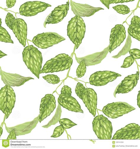 Seamless Pattern With Jasmine Bush Leaves Stock Illustration Illustration Of Beautiful