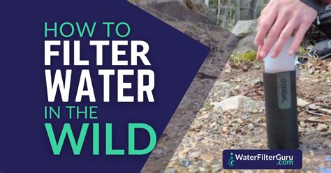 How To Filter Water In The Wild The Definitive 2024 Guide