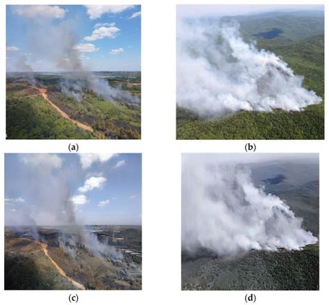 Omni Dimensional Dynamic Convolution Meets Bottleneck Transformer A