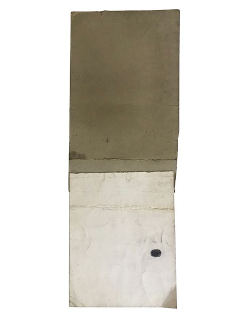 Jangli Maharaj With Dattatreya