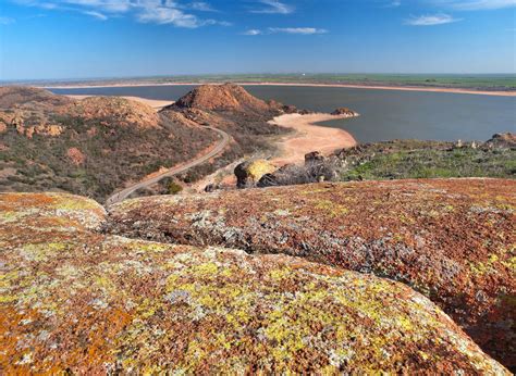 Curves And Gold Cobblestone Lichen By Slowbutsteady Jungledragon
