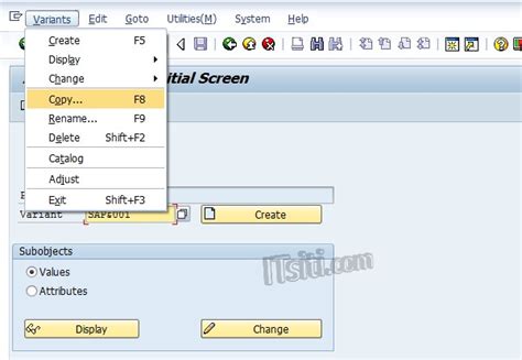 How To Copy Sap Variant