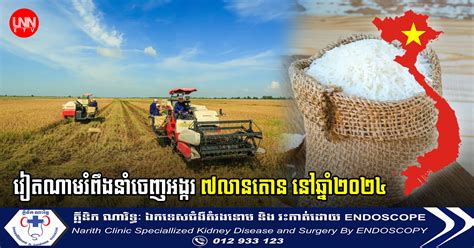 វៀតណាមរំពឹងនាំចេញអង្ករ ៧លានតោន នៅឆ្នាំ២០២៤ Alynana Media Cambodia