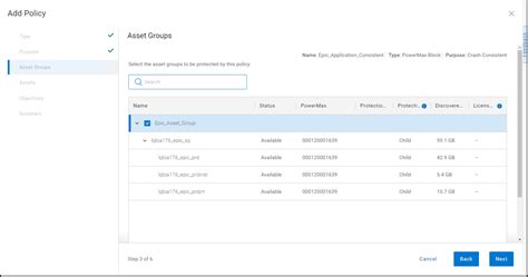 Asset Group Configuration Protecting Epic Data With Dell Powerprotect Data Manager Dell