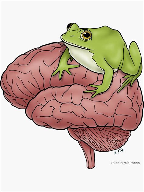 Frog Brain Vs Human Brain