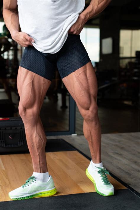 5 Essential Lower Body Compound Exercises With A Barbell Workout Guru