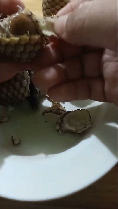 Sweet Seedless Litukohighland Fruit Igorotahighlandera Shorts Subscribe Fruit Youtube