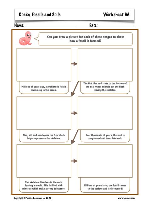 Fossils KS Lesson Packs And Information PlanBee