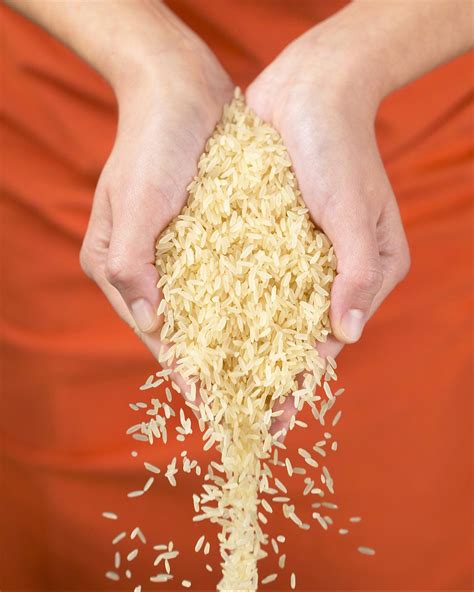 正确洗米技巧 美国稻米 美国米给你好谷粒