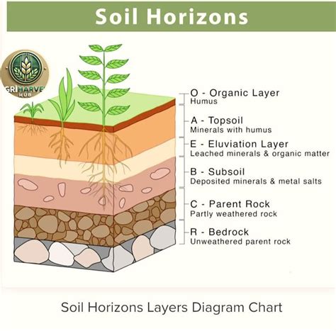 Agriharvest Soil Horizons Are Distinct Layers Within A Soil Profile