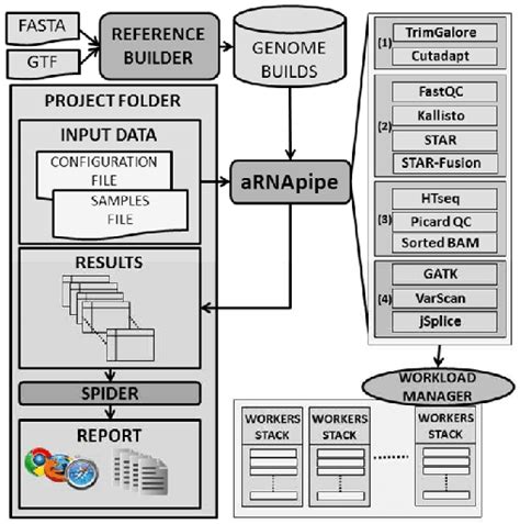 arnapipe workflow for primary analysis of rna seq data download