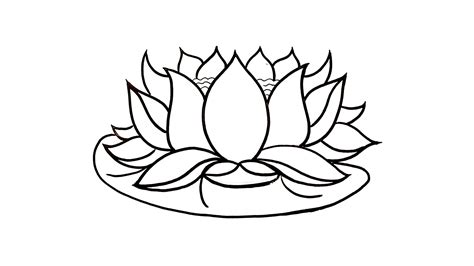 How To Draw A Lotus Flower Step By Step Guide