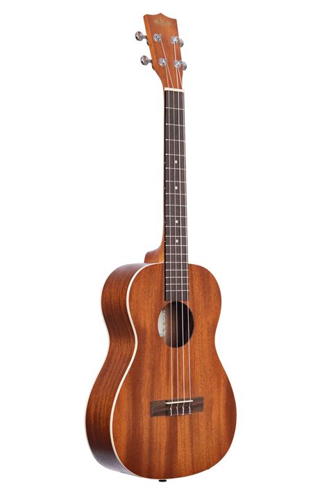 Fretted Stringed Instruments