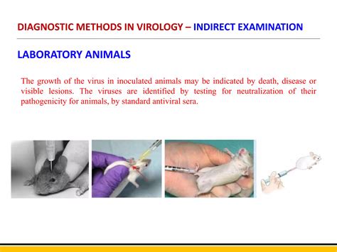 Virology Diagnostic Methods Pptx