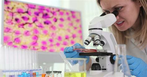 Woman Scientist Examines Specimen Under Microscope In Lab Stock Footage