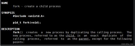 007 Linux Fork函数 Fan558 博客园