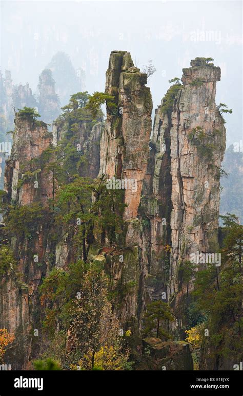China Hunan Province Zhangjiajie Wulingyuan Scenic Area Zhangjiajie