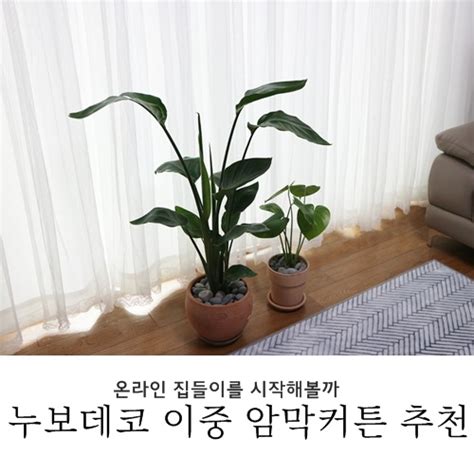 신혼집 거실커튼 누보데코 이중 레이스 암막커튼추천 네이버 블로그